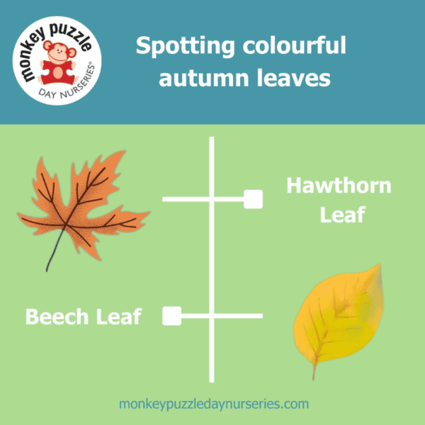 Exploring Autumn in Early Years | Monkey Puzzle Day Nurseries