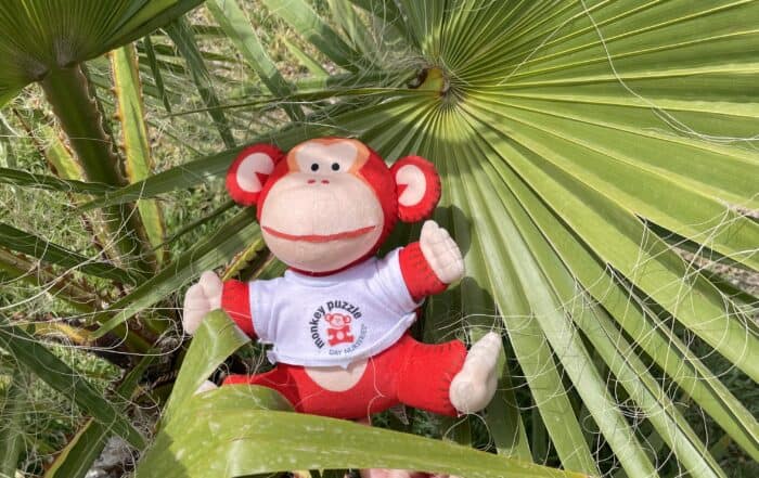 Portugal | Monkey Puzzle Day Nurseries